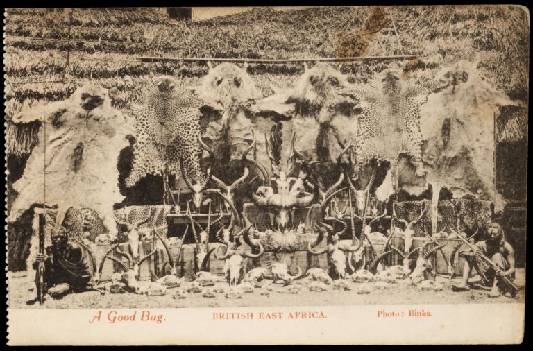 Malawi’s First Naturalist? Richard Crawshay and his Zebra – Travelogues ...