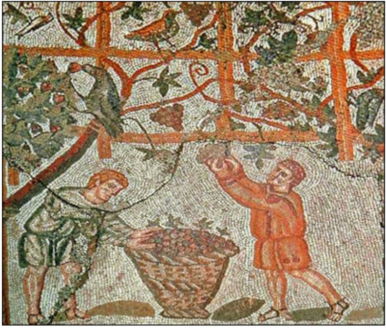 Romans Slaves at Work – Travelogues and Other Memories